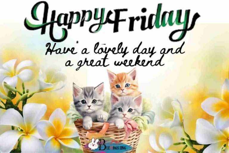 Happy Fall Friday! Embrace the Beauty of Autumn - Imageszilla