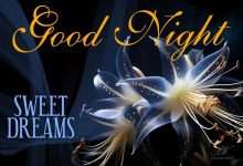 Good Night Images on Tuesday - Imageszilla